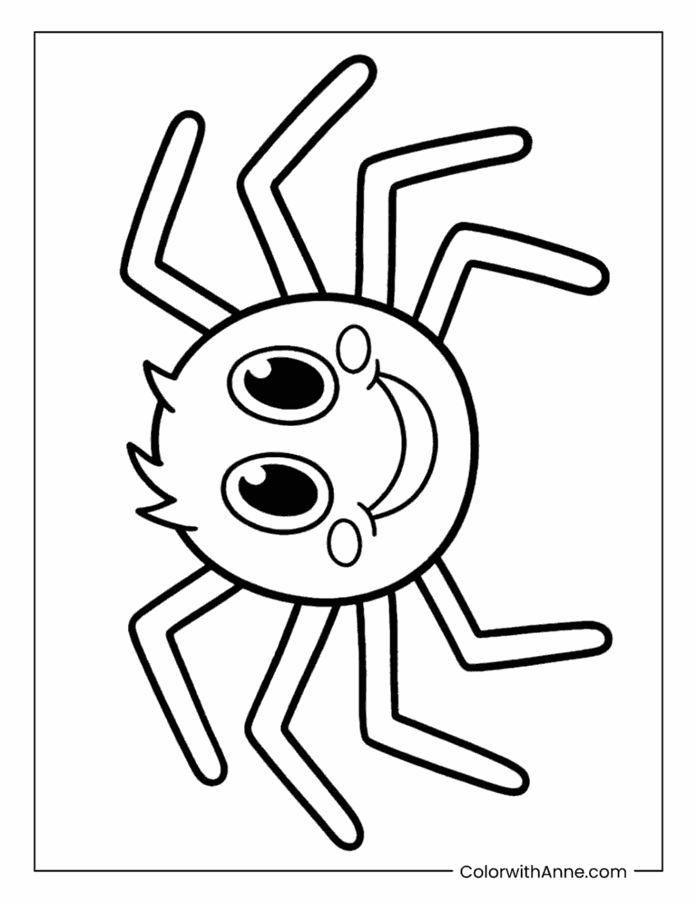 16 Spider Coloring Pages (Free PDF Printables)