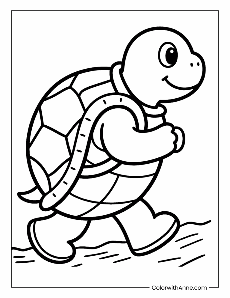 20 Turtle Coloring Pages (Free PDF Printables)