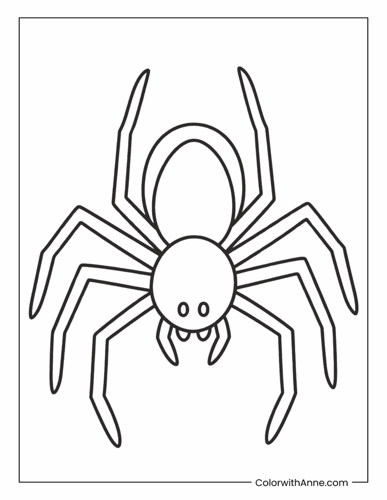 16 Spider Coloring Pages (Free PDF Printables)
