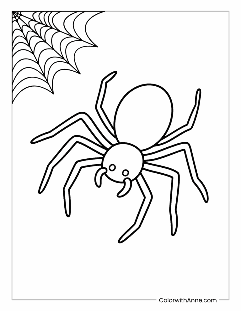 16 Spider Coloring Pages (Free PDF Printables)