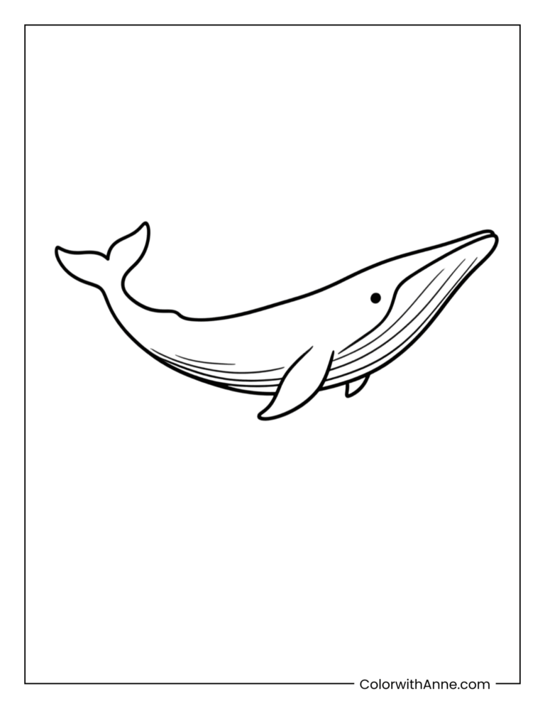 Whale Coloring Pages (Free PDF Printables) - ColorwithAnne