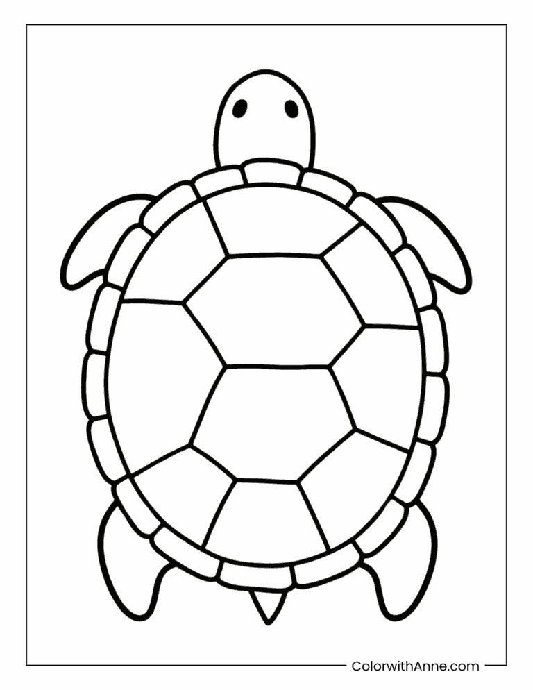 20 Turtle Coloring Pages (Free PDF Printables)