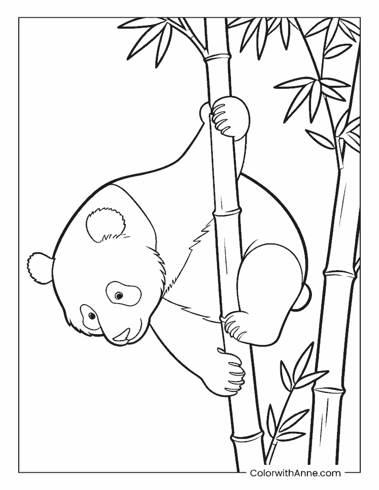 Panda Coloring Pages (Free PDF Printables) - ColorwithAnne