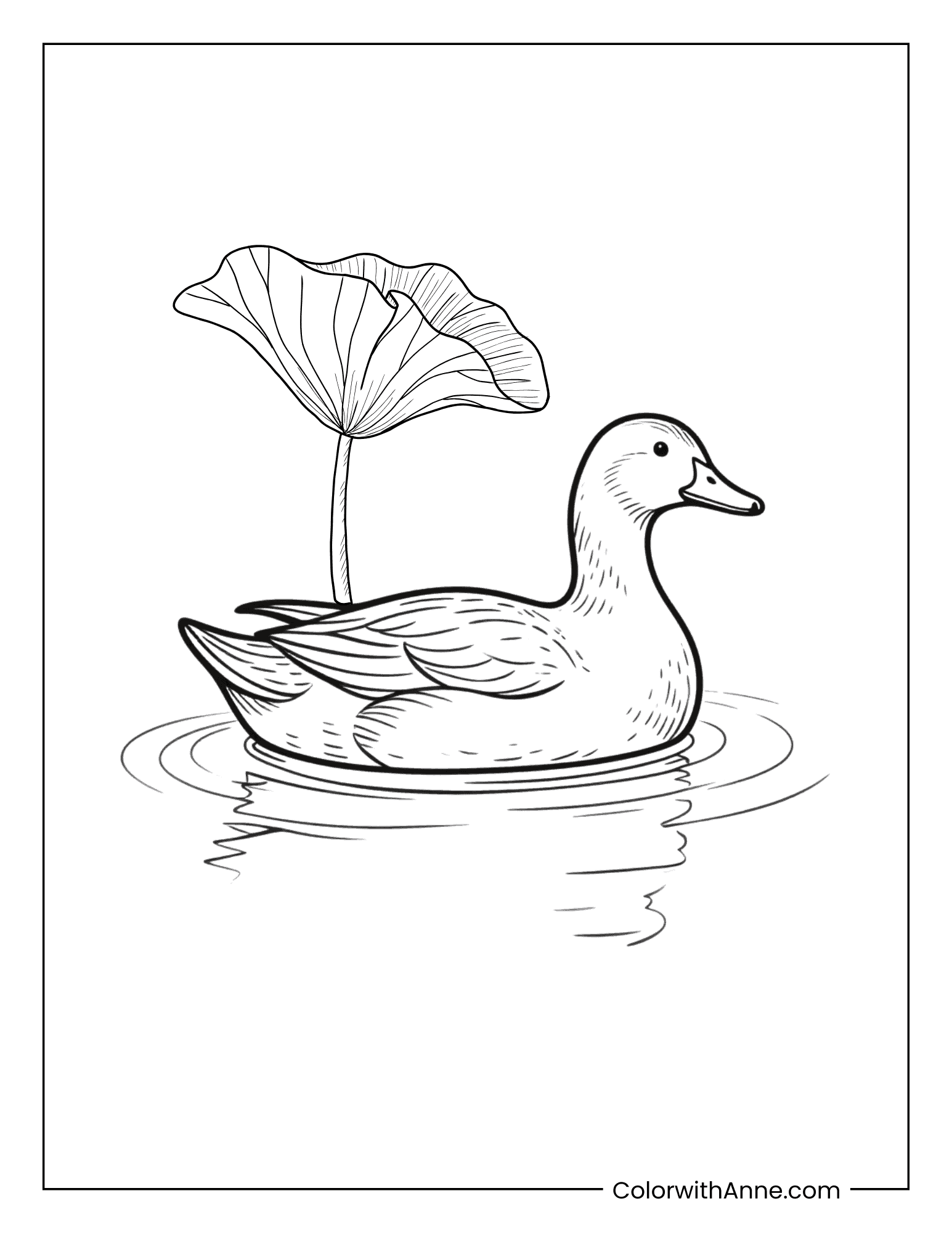 Duck Coloring Pages (Free PDF Printables) - ColorwithAnne