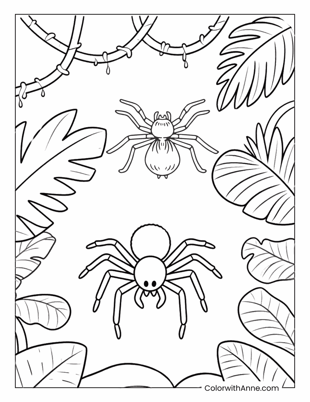 16 Spider Coloring Pages (Free PDF Printables)
